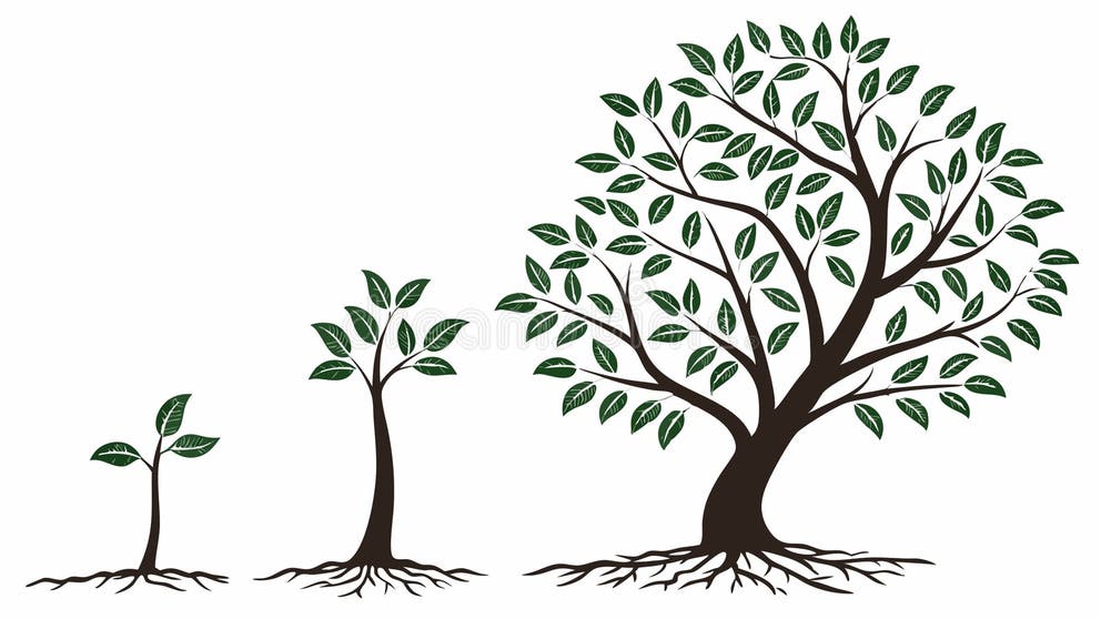 Tree Growth Stages Vector Stock Illustrations – 1,143 Tree Growth ...