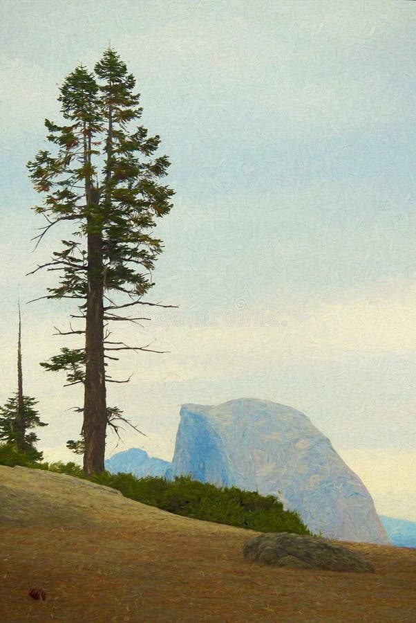 Tree and Half Dome stock photo. Image of national, mountain - 221081426