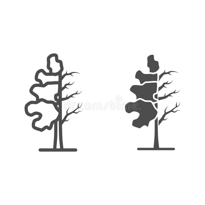 Tree Half Full of Green Leaf Line and Solid Icon, Changes Depending on ...