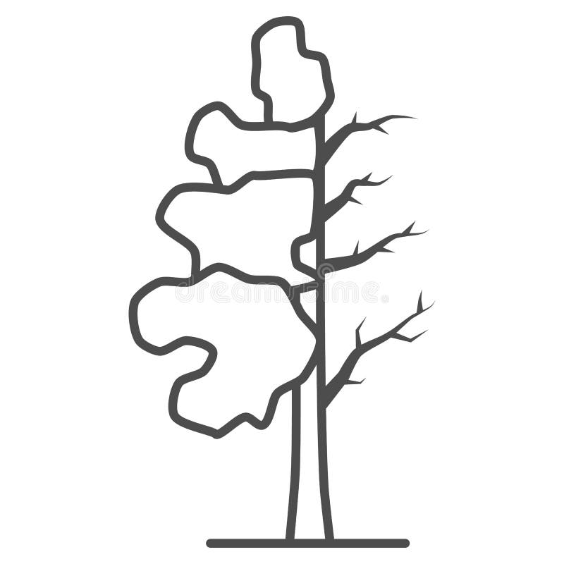 Tree Half Full of Green Leaf Thin Line Icon, Changes Depending on ...