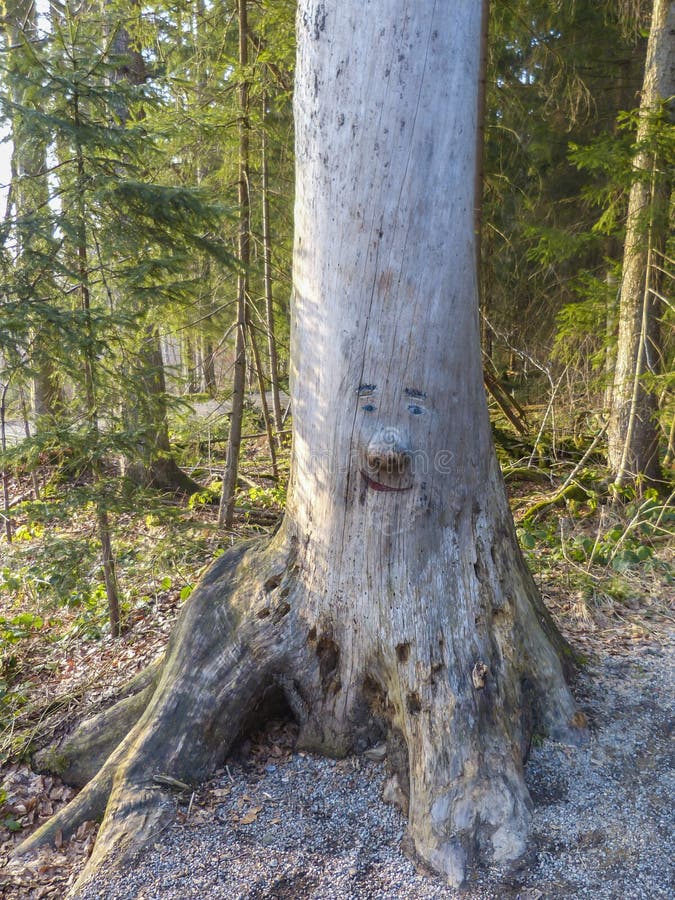 Tree Nose Picture. Image: 93948332