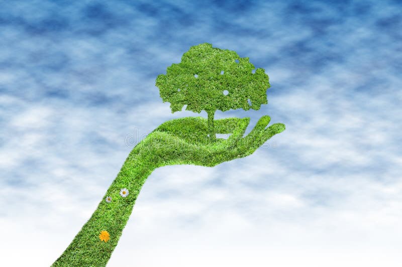 Tree in hand stock image. Image of grass, grow, hand - 43915511