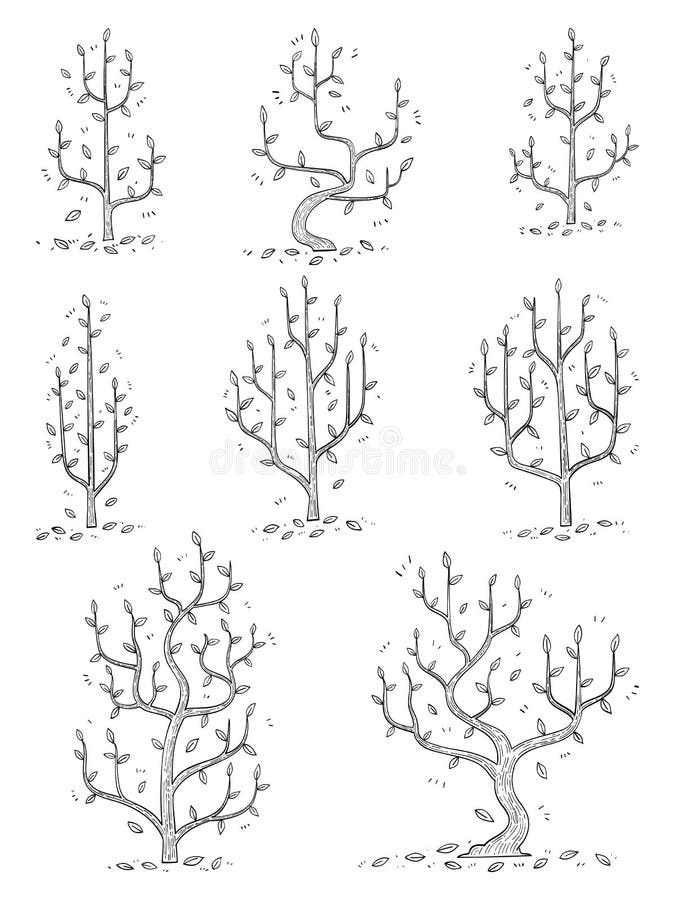 Hand Drawn Side View Tree Vector Set. Stock Vector - Illustration of ...