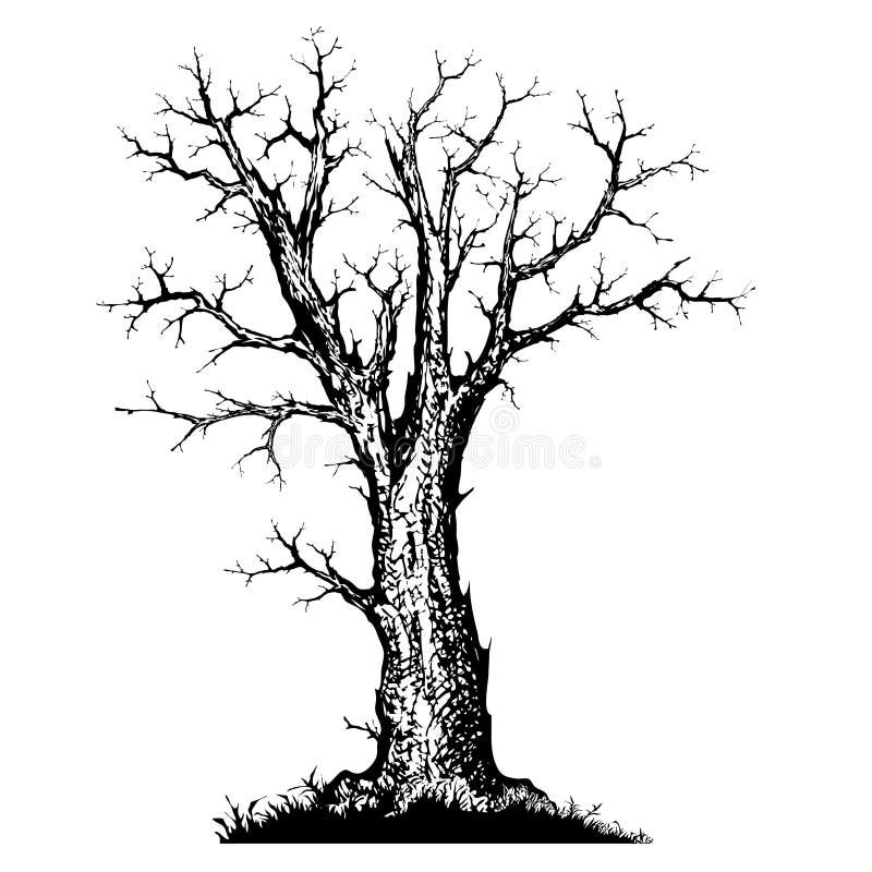 Roman Tree Stock Illustrations – 732 Roman Tree Stock Illustrations ...