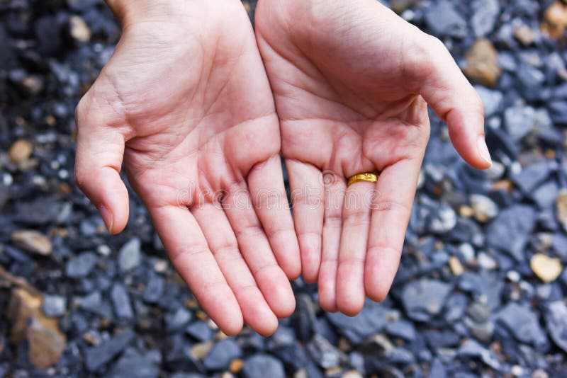Tree in hand stock photo. Image of balance, green, flora - 33344526