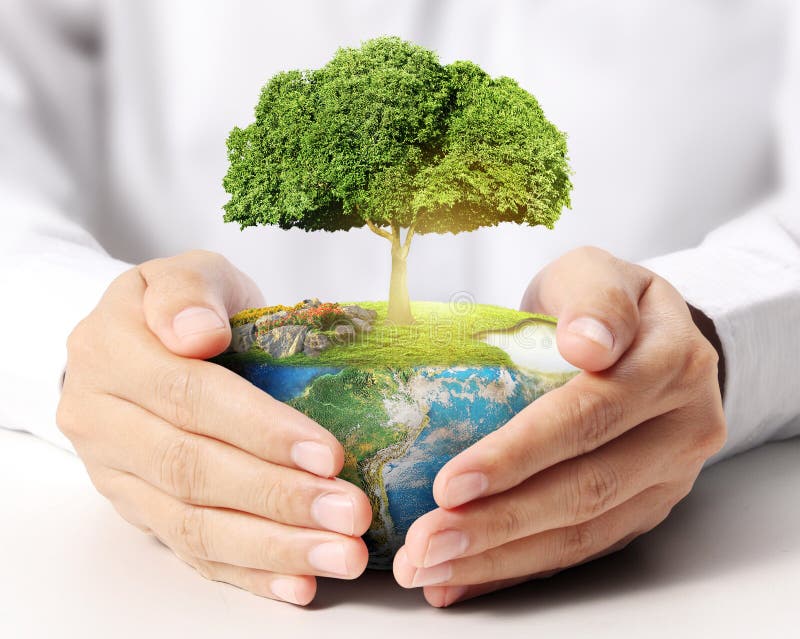 Tree in hand stock image. Image of success, environment - 44517127