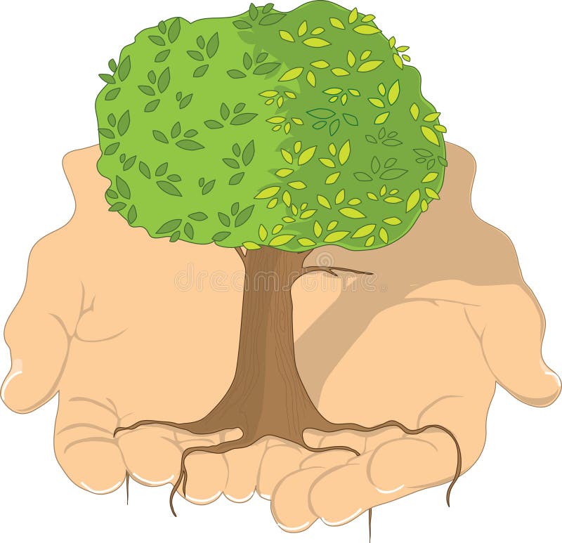 Hands tree with root stock vector. Illustration of achieve - 42781978