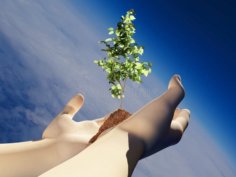 Tree in hands. stock illustration. Illustration of ecology - 74583209