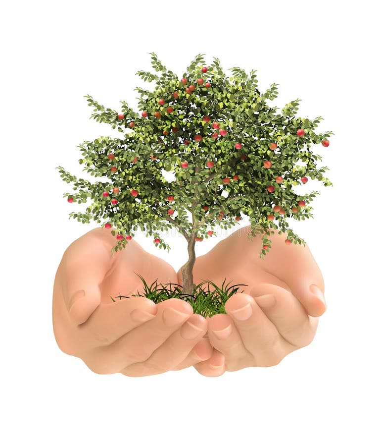 The Tree in the Hands. Vector Illustration Stock Illustration ...