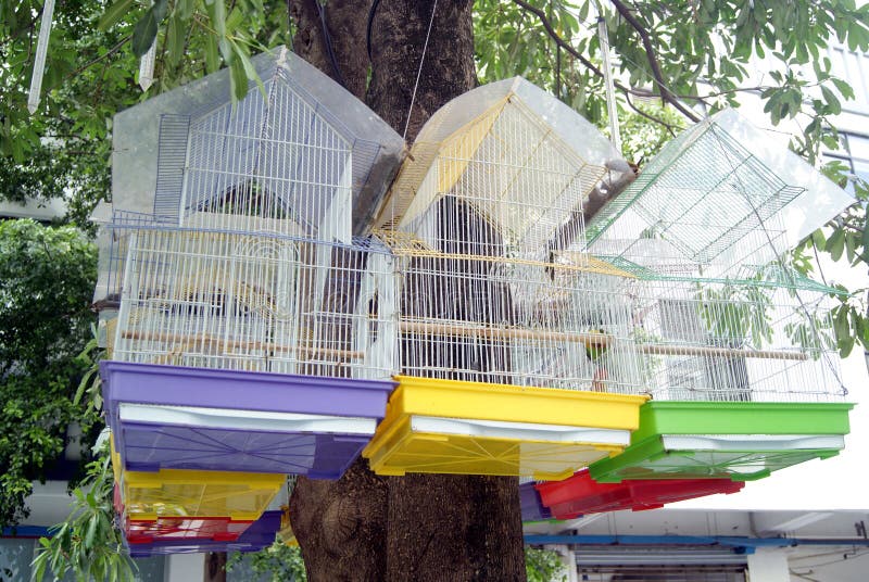 Bird cage stock image. Image of outdoor, bird, birds - 31056821
