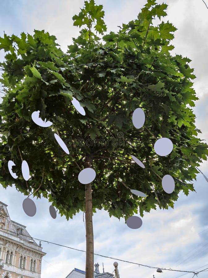 Tree with Hanging Paper Circles Stock Photo - Image of clouds, paper ...