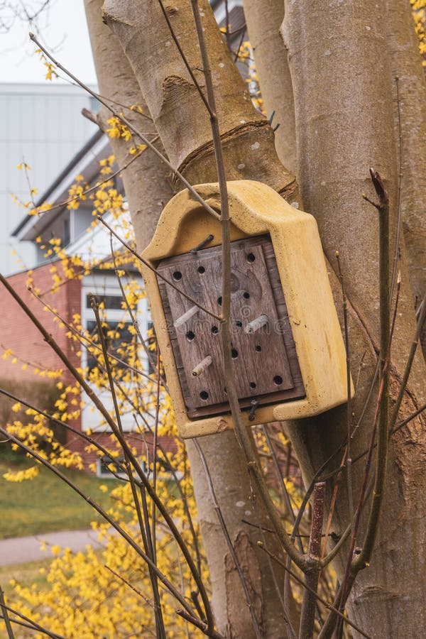 On the Tree Hangs an Insect Hotel for Overwintering Insects Stock Photo ...