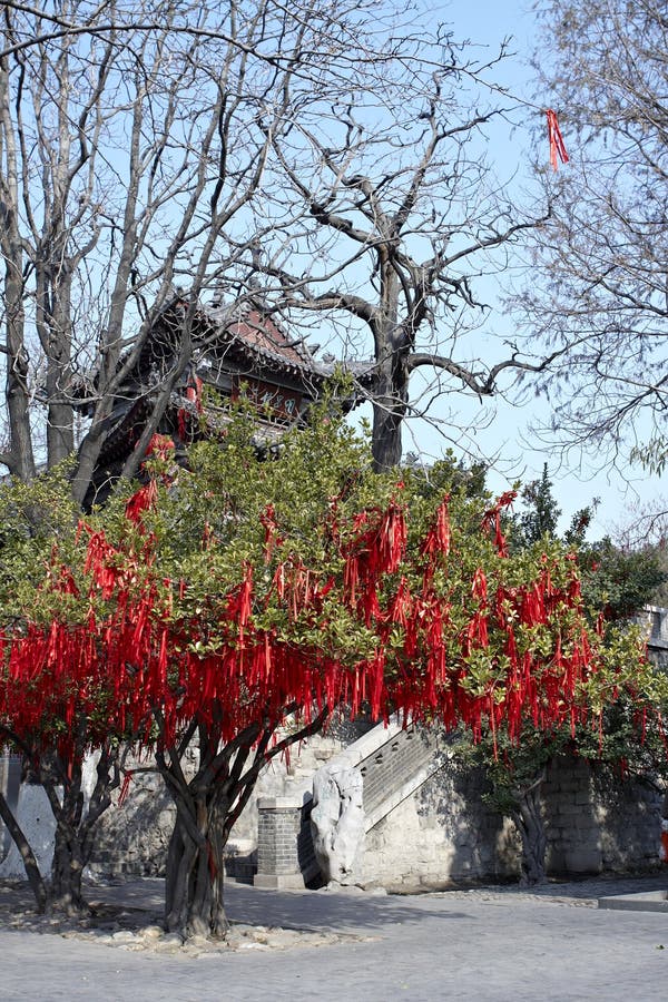 Tree hangs many red list stock photo. Image of story - 12377302