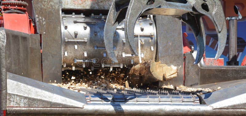Tree Harvest Machine Cutting Old Tree Log. Wood Cutting Harvester ...
