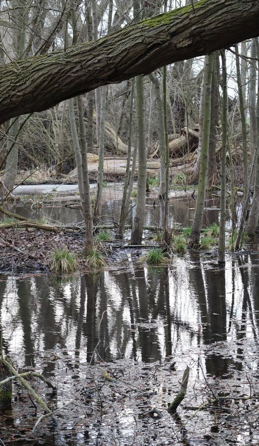 Danger zone stock image. Image of idyllicmarshland, notachildren ...