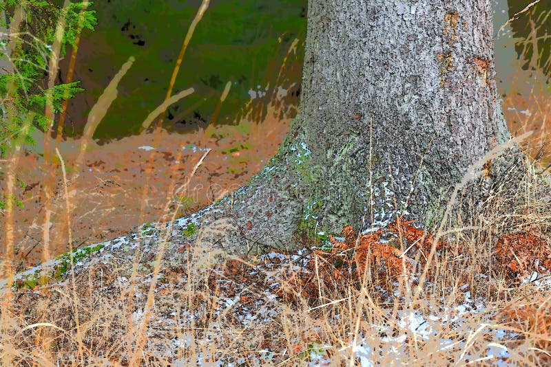 Tree and hay stock image. Image of hays, tree, trees - 268842385