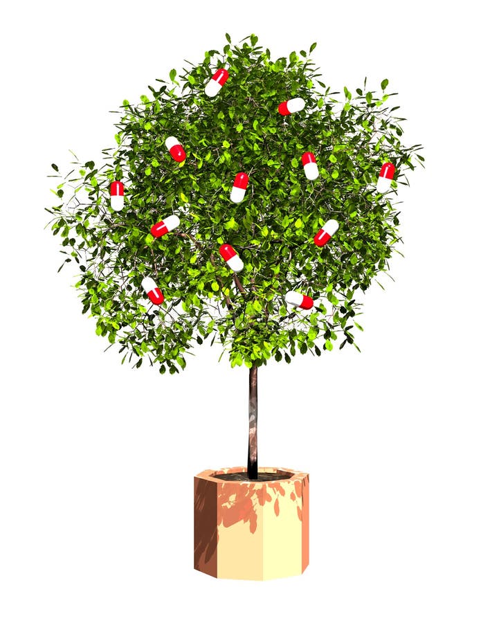 Medical tree concept stock image. Image of conservation - 123180453