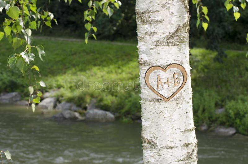 Tree with Heart and Letters a + B Carved in Stock Photo - Image of ...