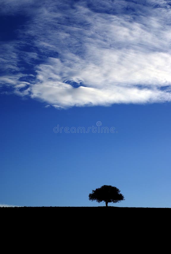 Tree hermit stock photo. Image of crop, horizon, agricultural - 5333758