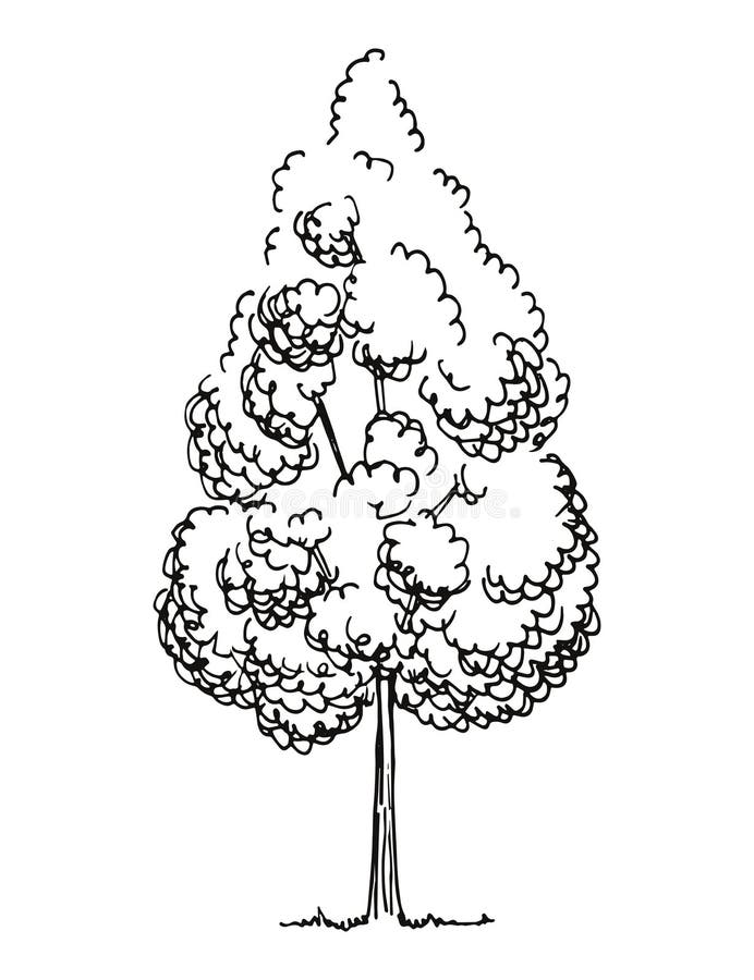 Tree is High. Hand Drawing Vector Stock Vector - Illustration of ...