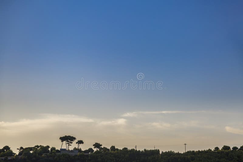 A Tree on a Hill with a Blue Sky in the Background Stock Image - Image ...