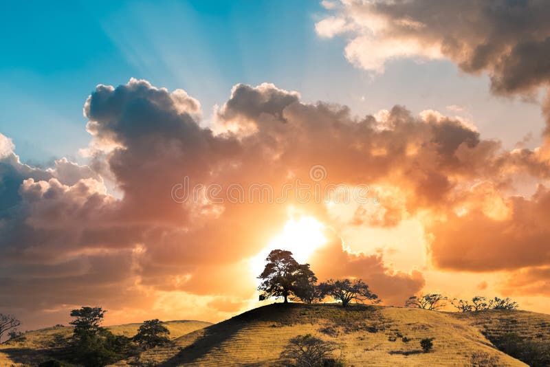 4,200+ Landscape tree sun background Free Stock Photos - StockFreeImages