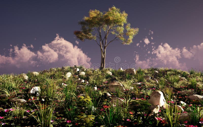 Spring meadow stock illustration. Illustration of fairytale - 24050270