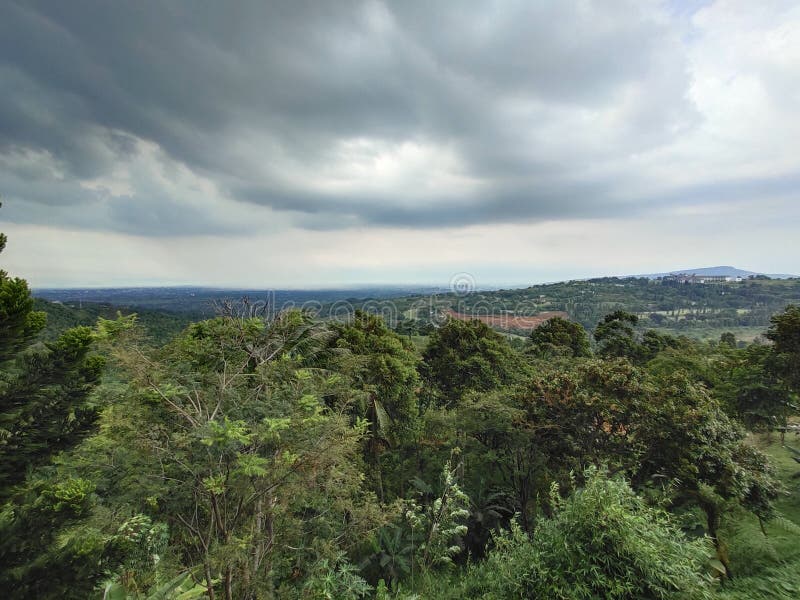 Tree hills mountain stock photo. Image of cliff, tree - 202626978