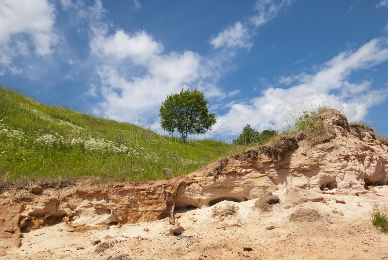 Tree on the hillside stock photo. Image of clouds, side - 31911778