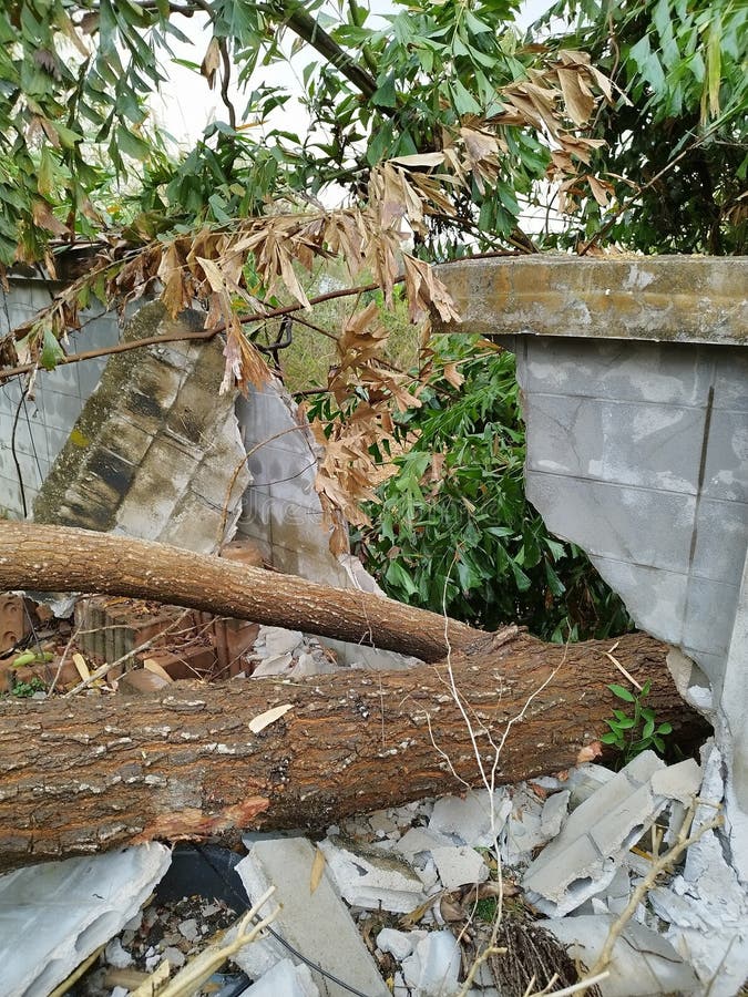 A Tree Hit by a Storm Toppled the Fence of the House. ? Stock Image ...