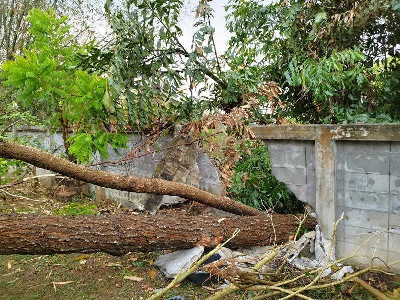A Tree Hit by a Storm Toppled the Fence of the House. ? Stock Photo ...