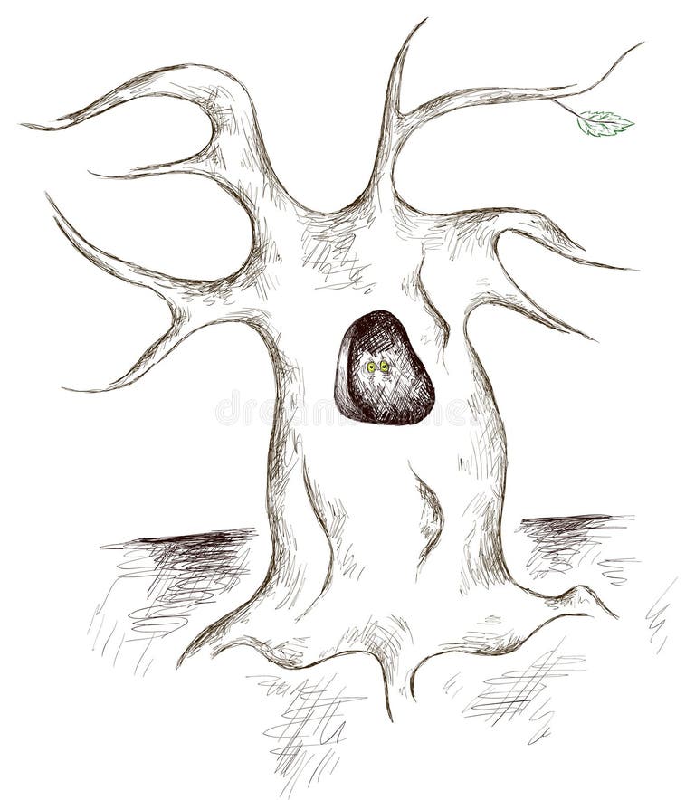 Old Hollow Tree Stock Illustrations – 797 Old Hollow Tree Stock ...
