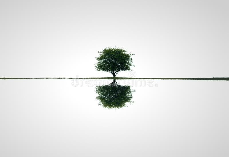 Tree of Hope, Mirror of the World Stock Illustration - Illustration of ...