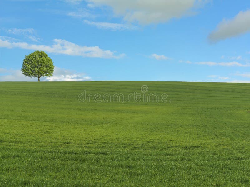 Cloud and horizon stock photo. Image of environment, cloud - 36914084
