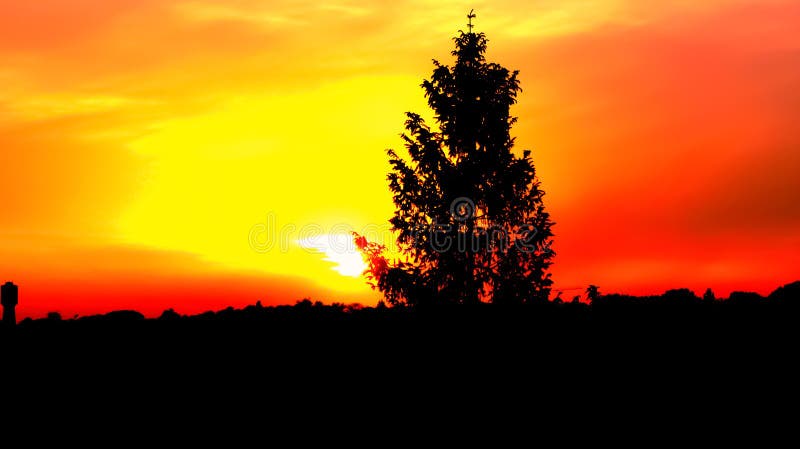 Tree on a Horizon at Sunset Stock Photo - Image of sunset, night: 163977950