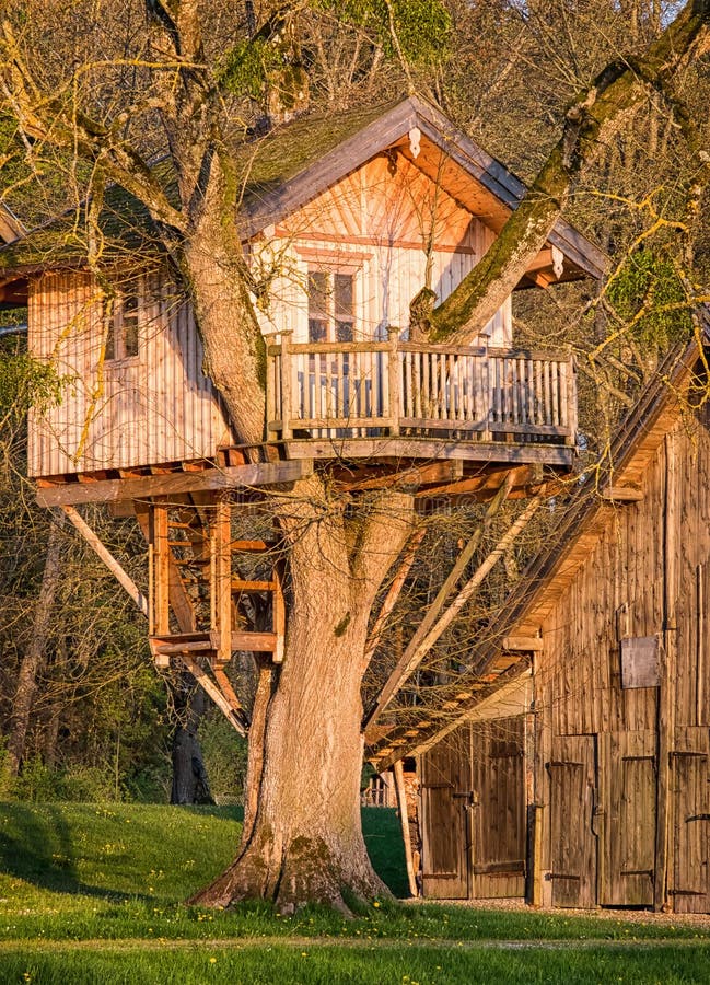 Tree house stock image. Image of house, balcony, treehouse - 71572067