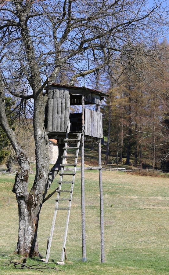 House for Bird Watching in the Mountains Stock Image - Image of birds ...