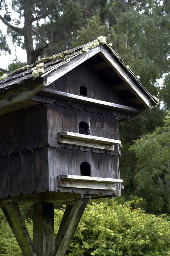 Tree House for Birds. Place for Feeding Migratory Birds. Object in Park ...