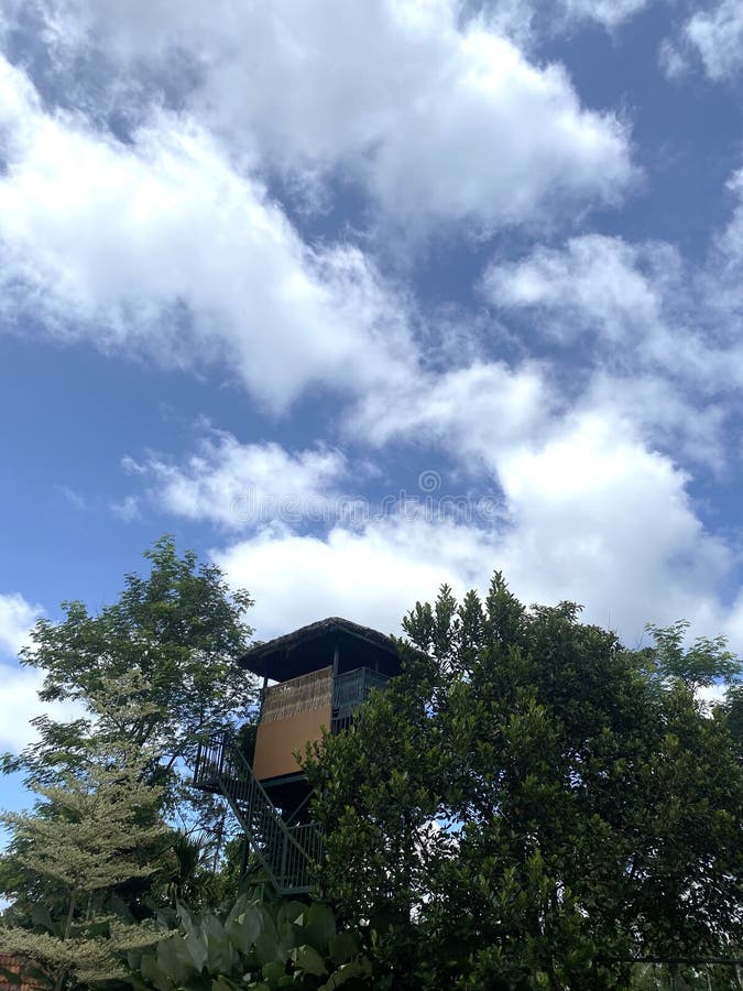 Tree House with Blue Sky and Clouds Stock Image - Image of trees ...