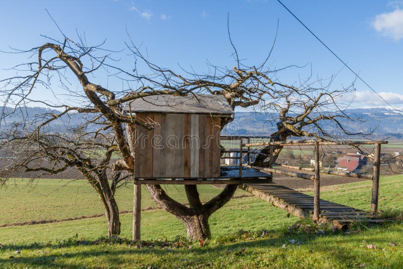 Tree House - Cottage - Farm Stock Photo - Image of arbor, apple: 48714408