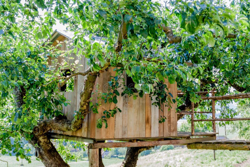 Tree House - Cottage - Farm Stock Photo - Image of arbor, childhood ...