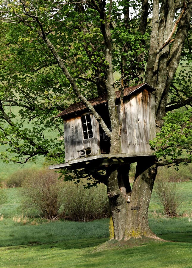 Wonderful Old Treehouse in the Country. Stock Image - Image of front ...