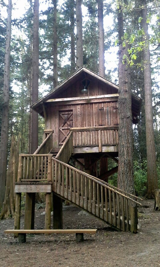 Tree House stock photo. Image of redwood, house, home - 52355858