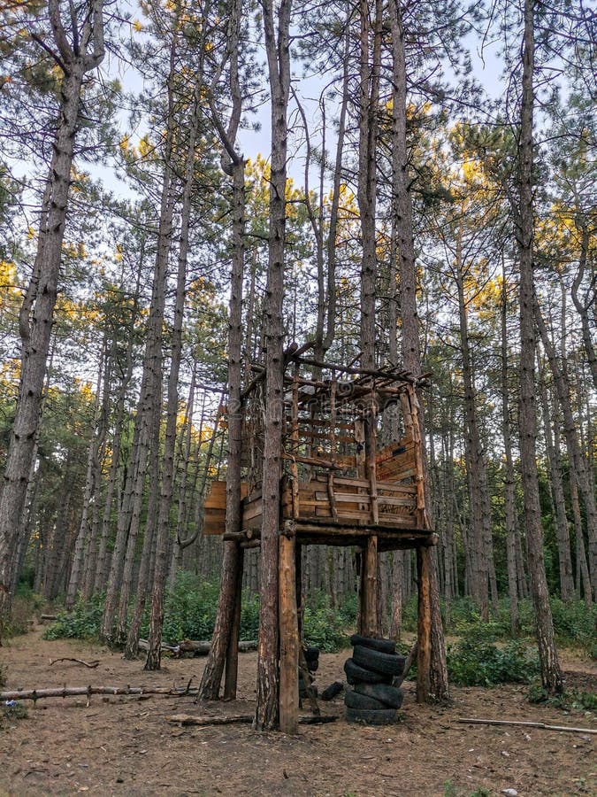 Tree House in the Forest in a Clearing Stock Image - Image of road ...