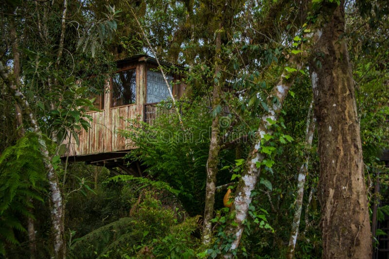 Tree House in the Forest, Eco Friendly Construction Stock Image - Image ...