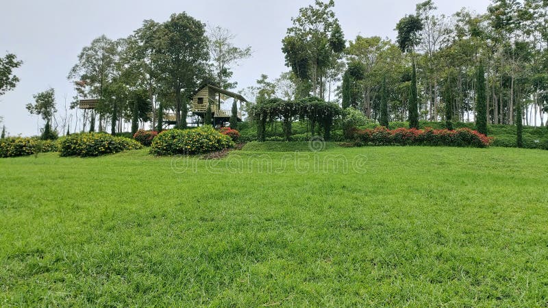 Tree house at garden stock image. Image of landscape - 170790023