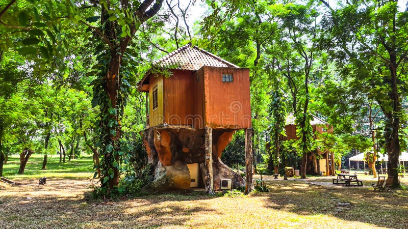 Tree house in the garden stock photo. Image of forest - 197884236