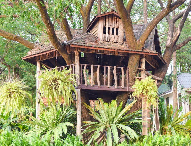 Tree house in the garden stock photo. Image of roof, small - 73992498