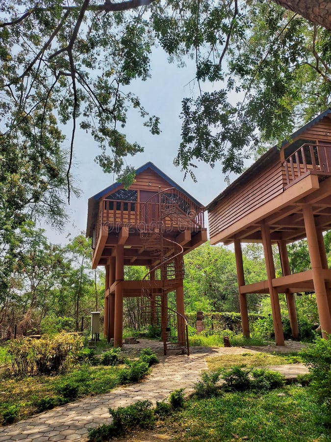 Tree House on an Island, India Stock Photo - Image of island, india ...