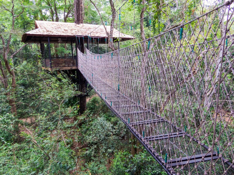 Tree House, Luang Prabang, Laos Stock Image - Image of tropical ...